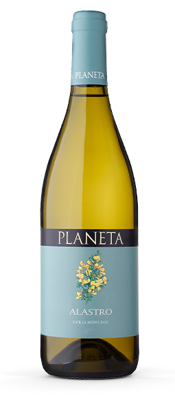 Rosé - Planeta